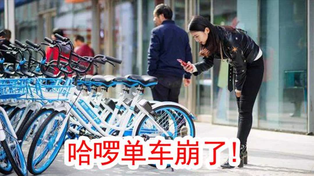 哈啰单车崩了!网友锁车被蚊子咬了6个大包