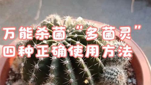 万能杀菌剂多菌灵,教你正确的运用方法