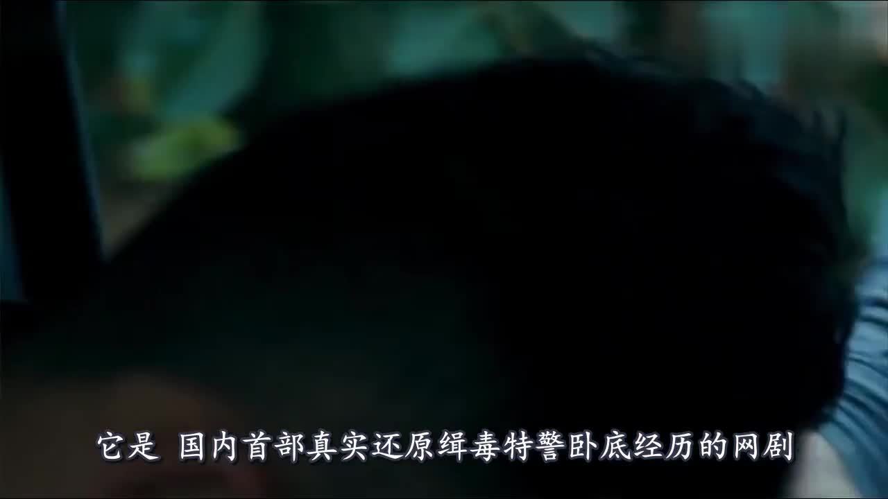 这才是真正的缉毒卧底剧啊,看着简直太刺激了!