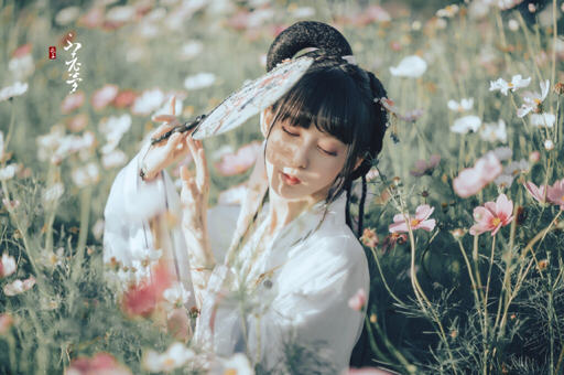 花纸盛放