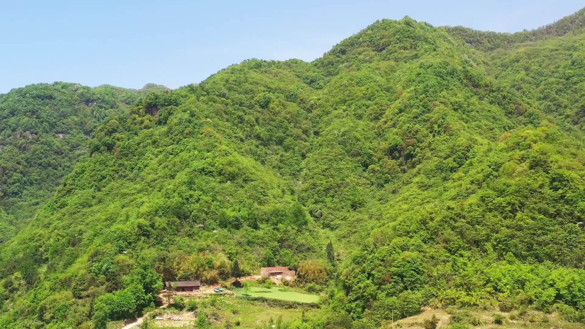 东神道建设如火如荼,建成后将是修心养性人士的最佳去处!