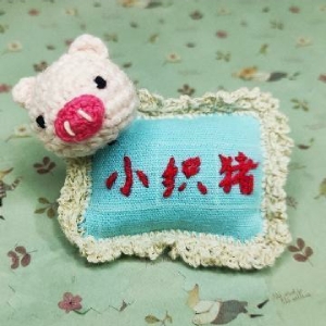 一只小织猪 