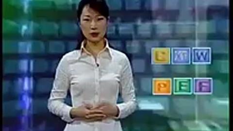 第1讲 Excel2003电子表格系统的基本操作