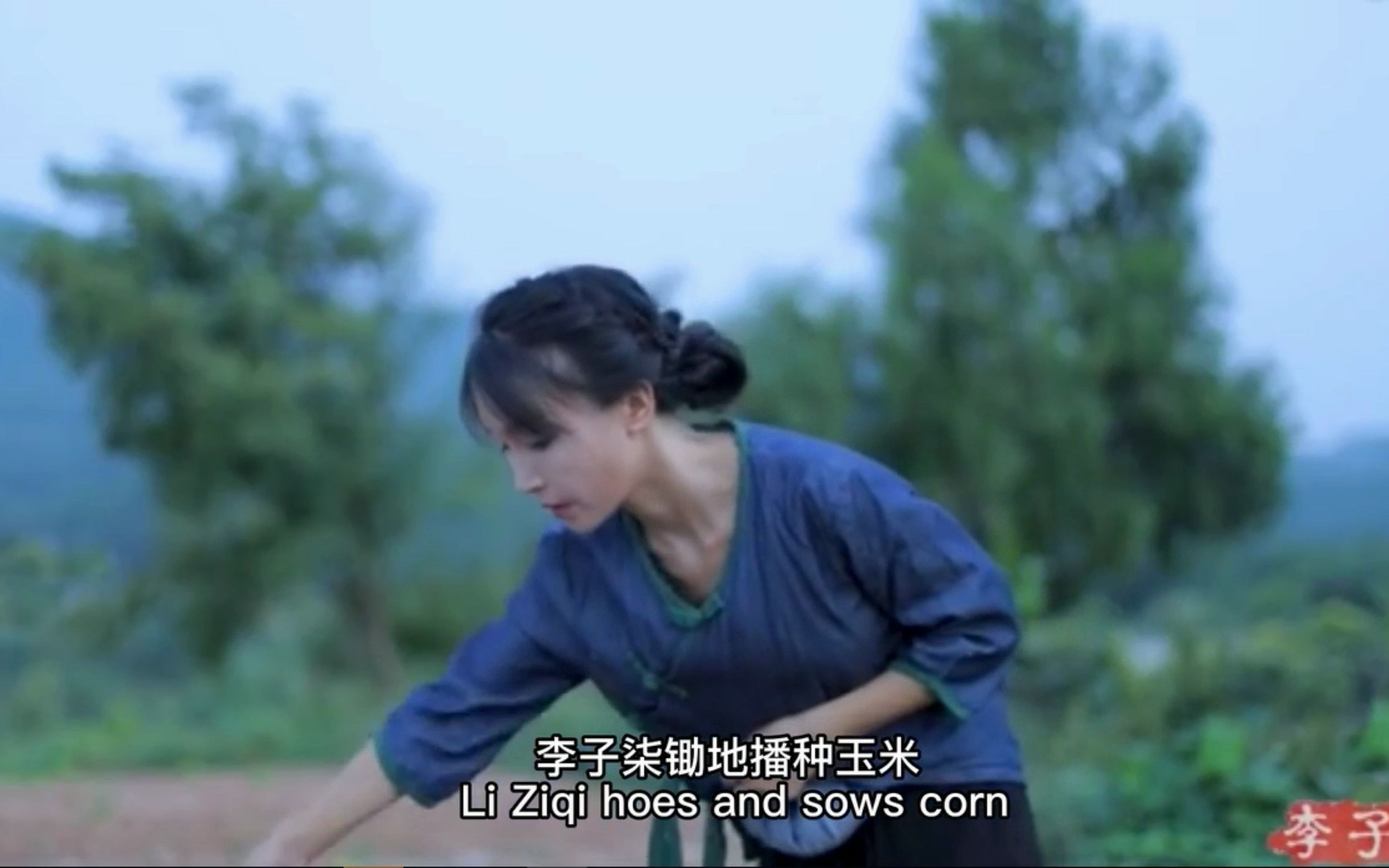 英语趣配音|李子柒视频#朝花夕拾#(带字幕)