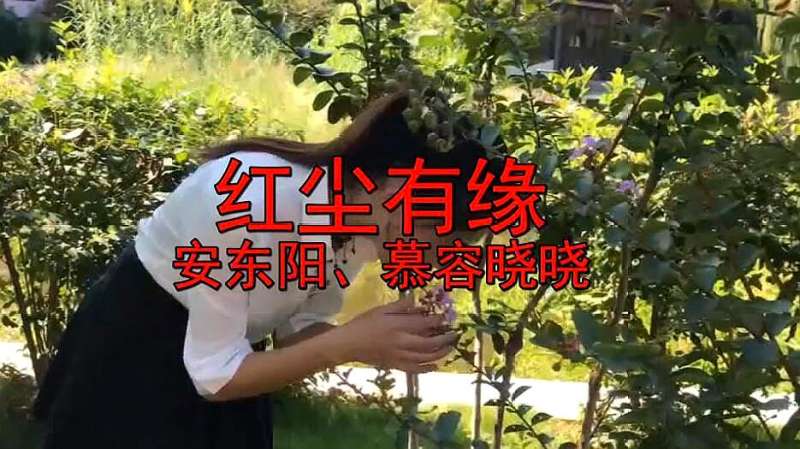 经典歌曲:一首《红尘有缘》感人肺腑,节奏轻松温暖