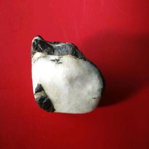 伊克拉王候将相 