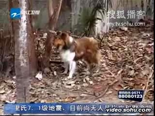 男子狂犬病发作见狗就咬