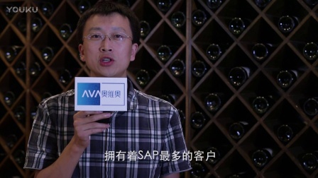 SAP系统管理软件-锤子科技实施案例