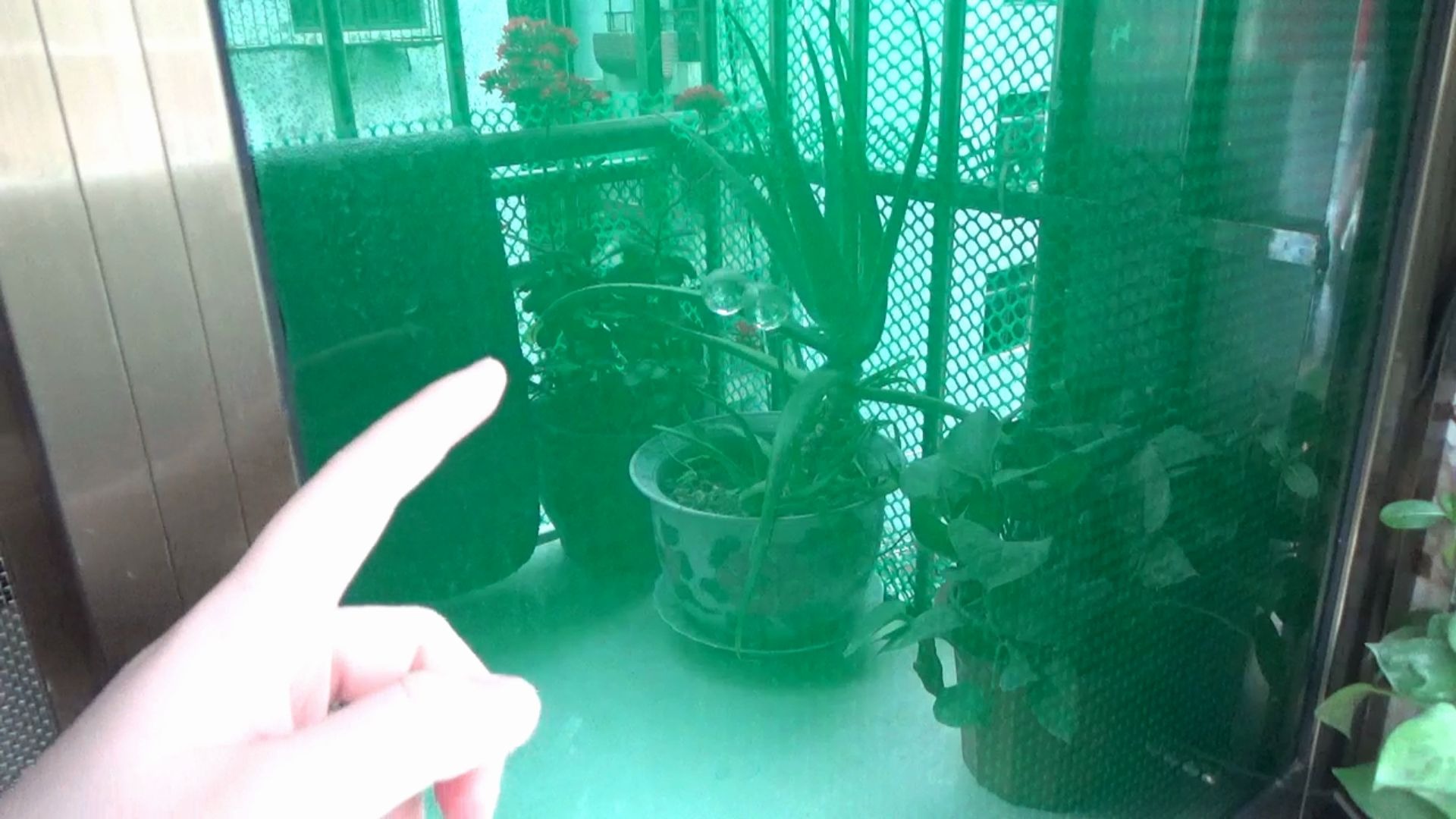 玻璃难清洁?教你一个清洁妙招,擦完立马干净透亮,不留水渍