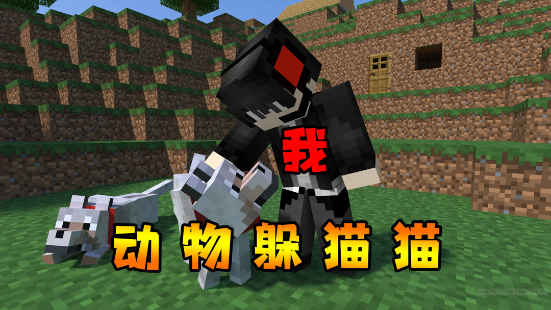没有一只动物能从我面前跑走!我的世界躲猫猫