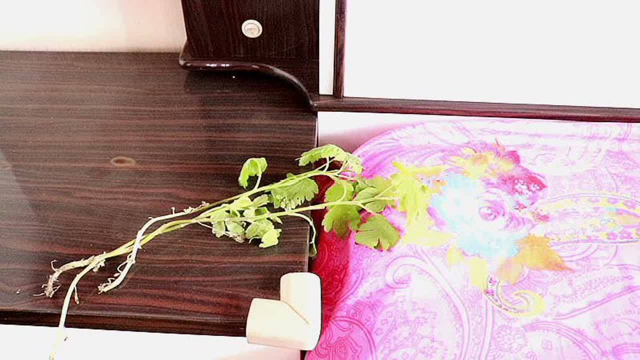 卧室为什么要放一把艾叶?这个作用真是厉害,看完抓紧囤起来备用