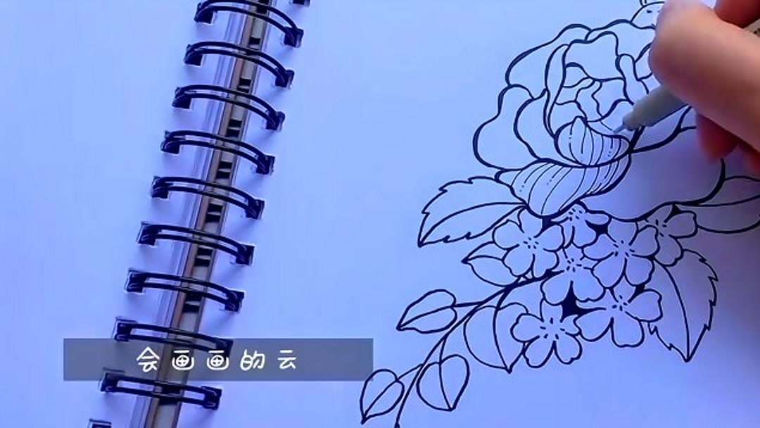 #插画#针管笔画个花花#绘画##简笔画#.