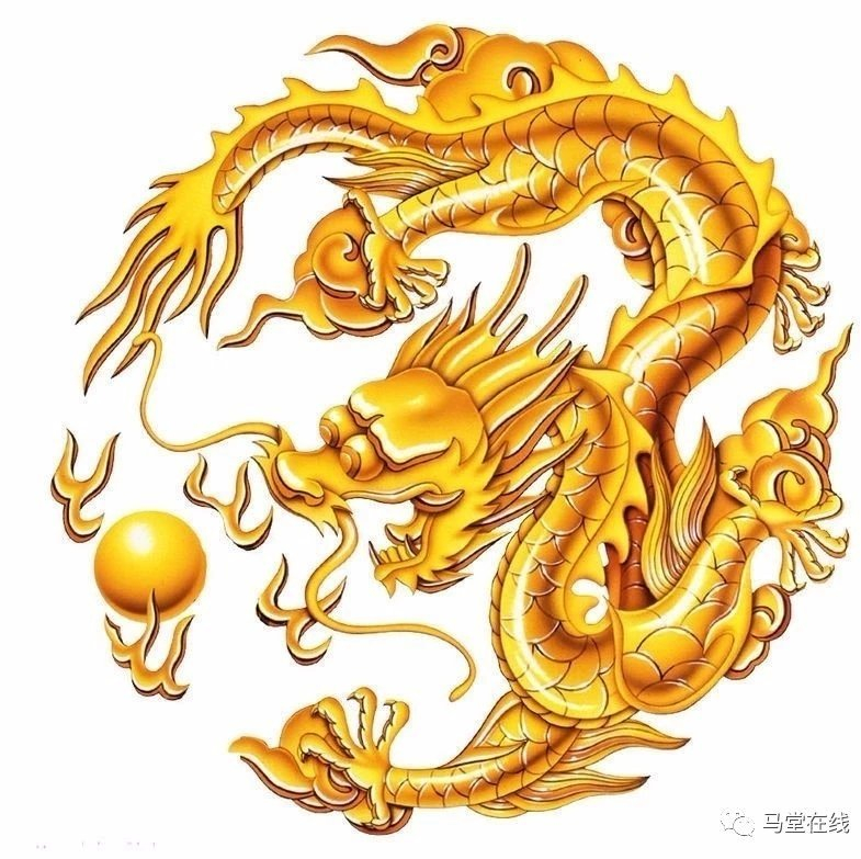 九州飛龍 