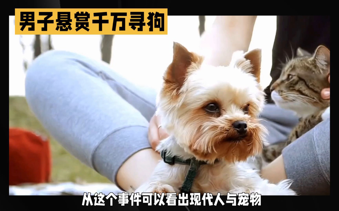 郑州警方通报“男子悬赏千万寻狗”