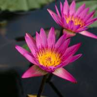 跟着小宋老师学物理 