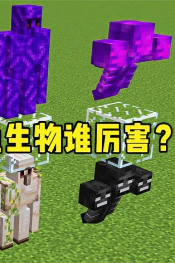 我的世界:传送门生物VS普通生物,谁才最厉害?