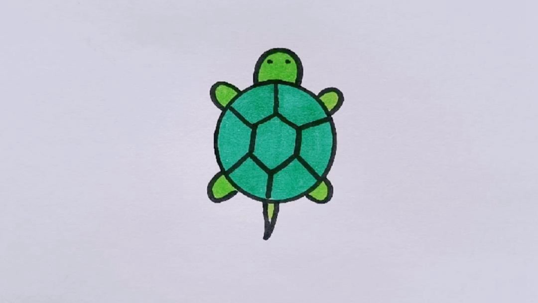 小乌龟简笔画 就是那么简单