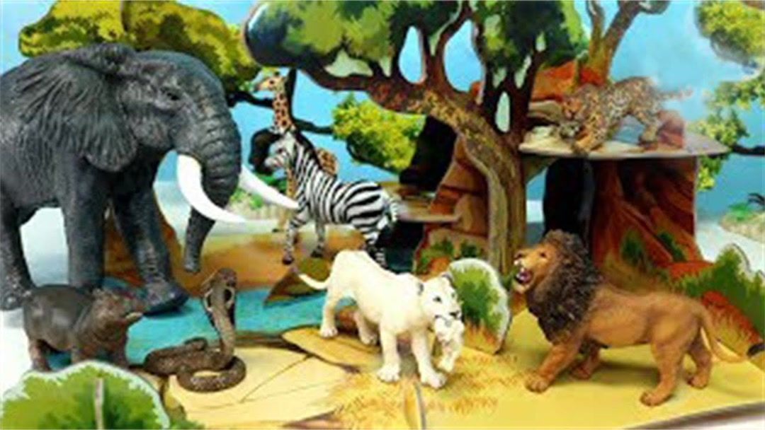 欢迎来到动物聚会派对,来自于世界各地的动物们都在这里!