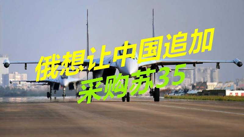 到底想干啥?俄罗斯称愿与中国进一步合作,随时可提供更多苏35