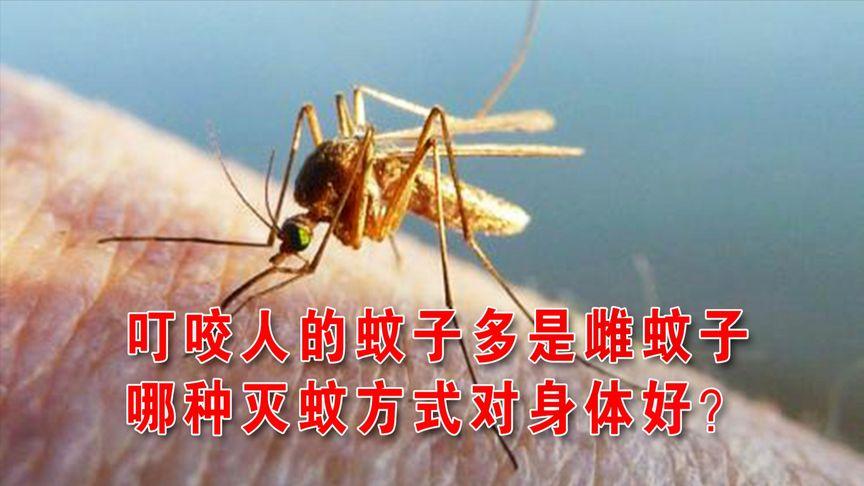 什么血型最招蚊子?哪些疾病通过蚊子传播?如何防蚊最有效健康?