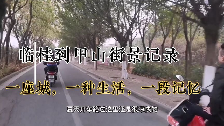 在桂林开着电动车像森林一样,是个不错的养老城市,欢迎到桂林