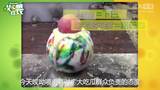 “哎呦喂”零食实验室《Jawbreaker解剖大公开》让口水直流下巴脱臼...