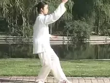 邱慧芳太极拳教学: 左右搂膝拗步解析教程!