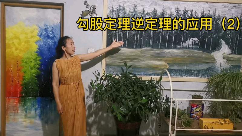 初二数学例题精讲,勾股定理逆定理的应用(2)