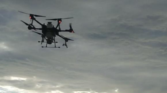 流转百亩土地农场主的现代化农业管理,飞机施肥 从早忙到晚。