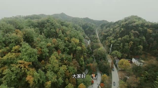 太过真实!森林中的7个恐怖生物,看到后请远离