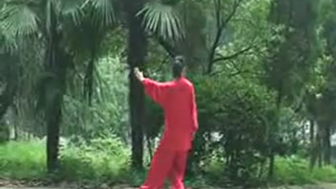 八十八式太极拳背向演练