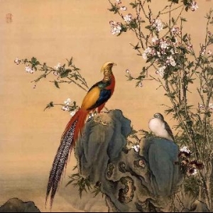 藿香正气说 