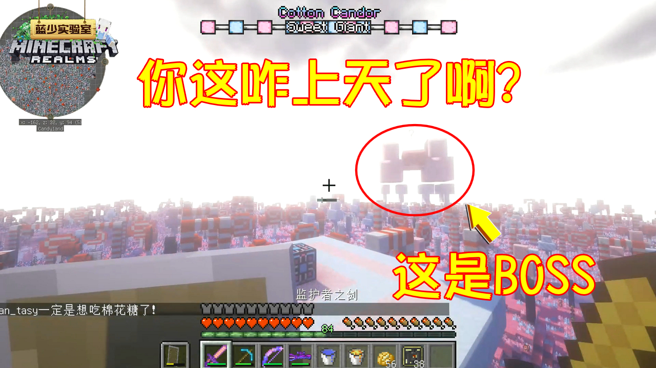 我的世界:生存日记,挑战糖果巨人!这Boss是无敌的?!