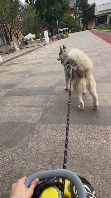 大满小小年纪就下了岗,先用Notehot笔记记录下来…Notehot,app推荐,...