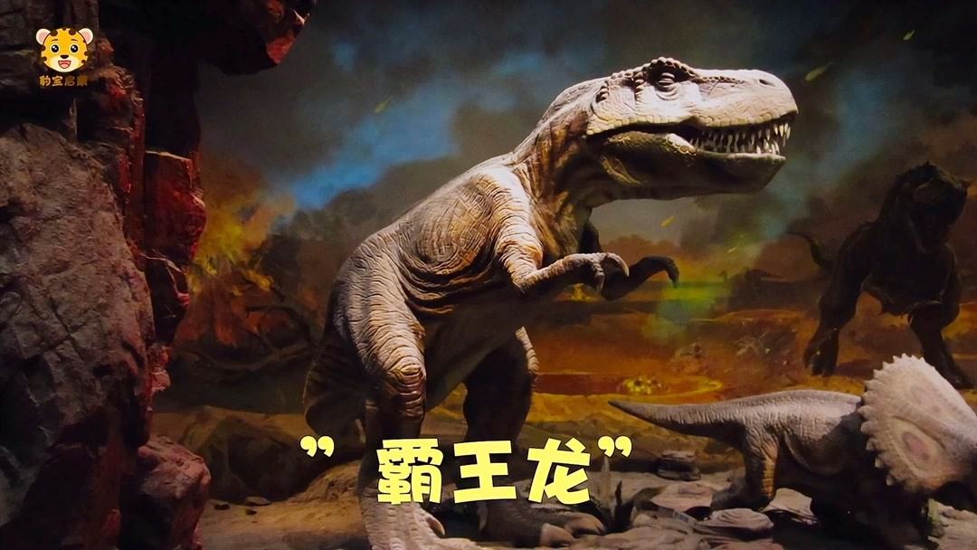 恐龙大世界 第4集 认识霸王龙