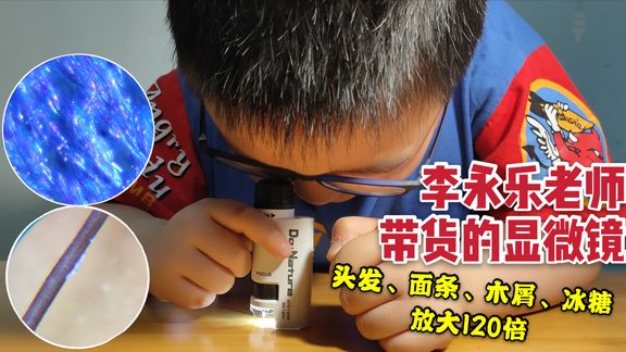 小学生购李永乐老师带货的显微镜,揭密头发等放大120倍后是啥样