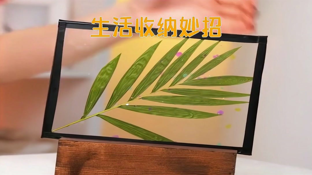 居家生活收纳小妙招