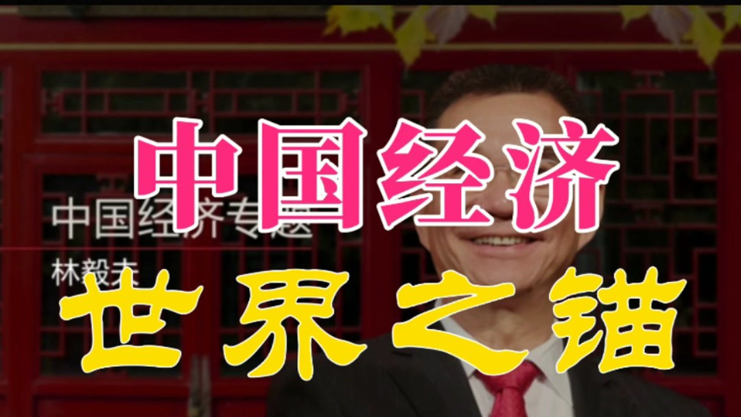 林毅夫:中国经济增长不仅改变了中国,也对世界作出了巨大贡献