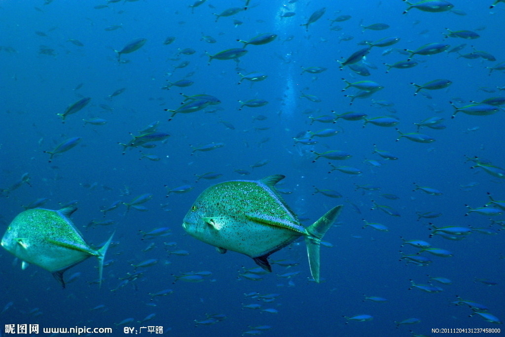 与温暖相伴的日子 