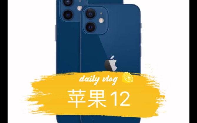 苹果12价格及发售日期