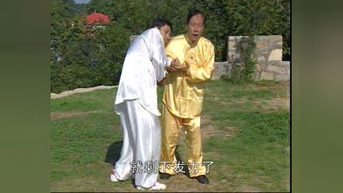 陈氏太极拳二路实用用法讲解4(张志俊)