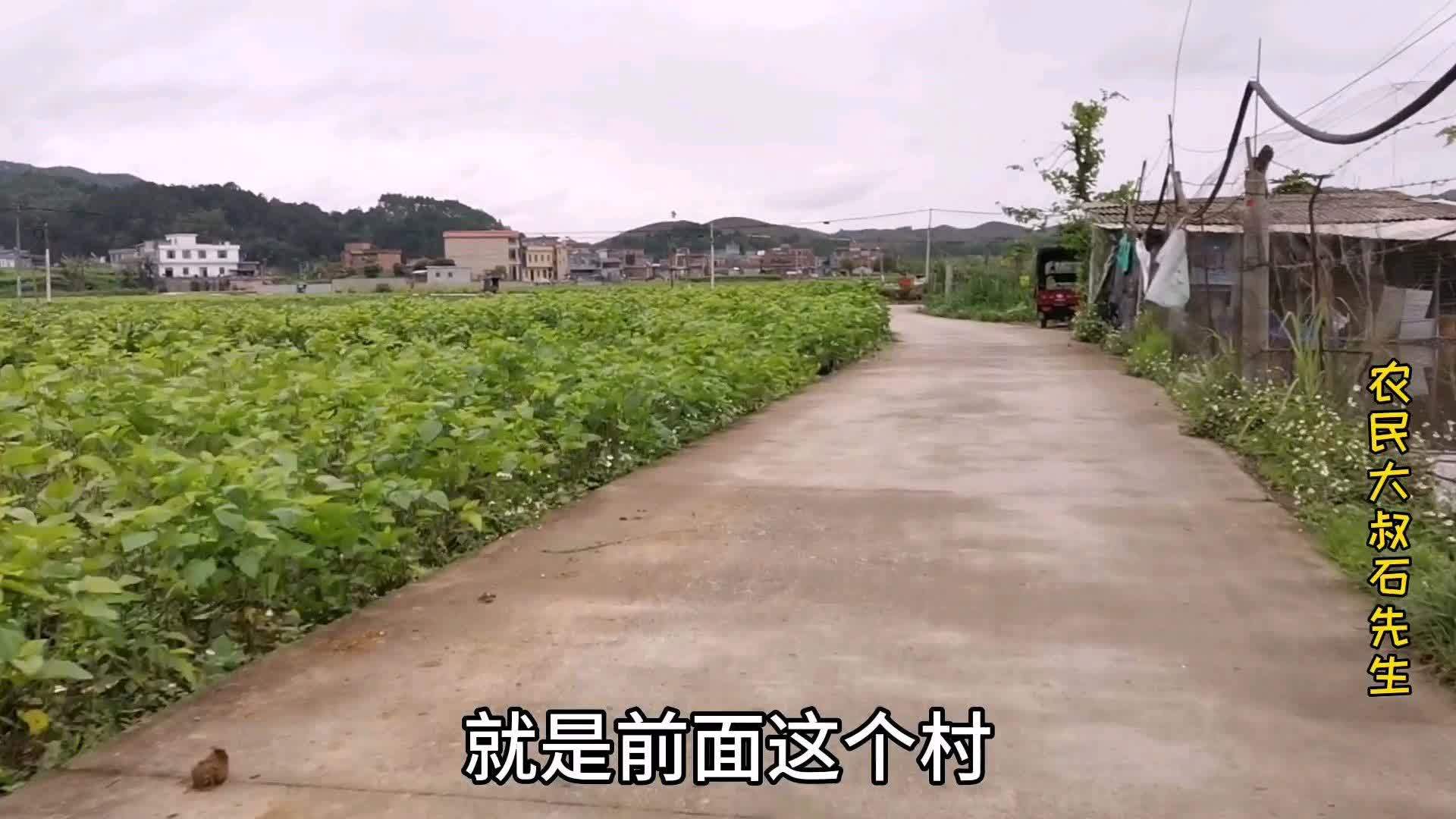 农民瓦工今天去隔壁村看个贴砖的活,工钱按200元天计算,怎么样