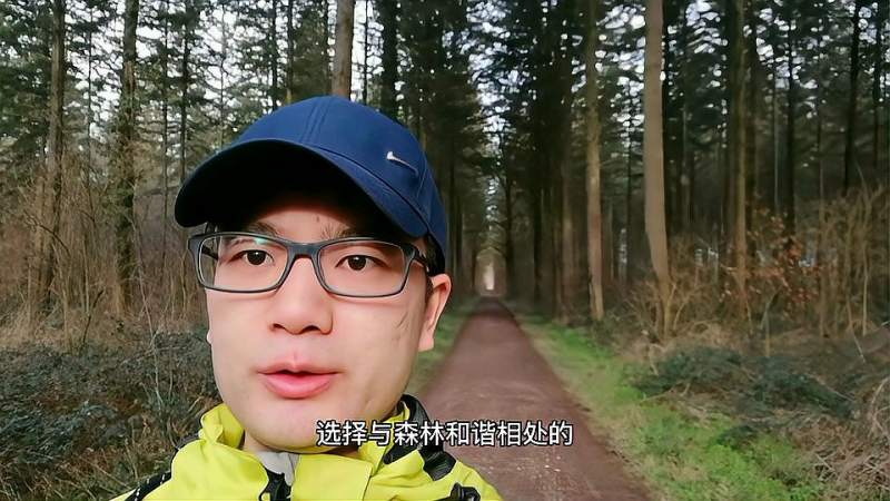 德国森林的多重用途,德国人喜欢的户外活动与德国人的打猎方式