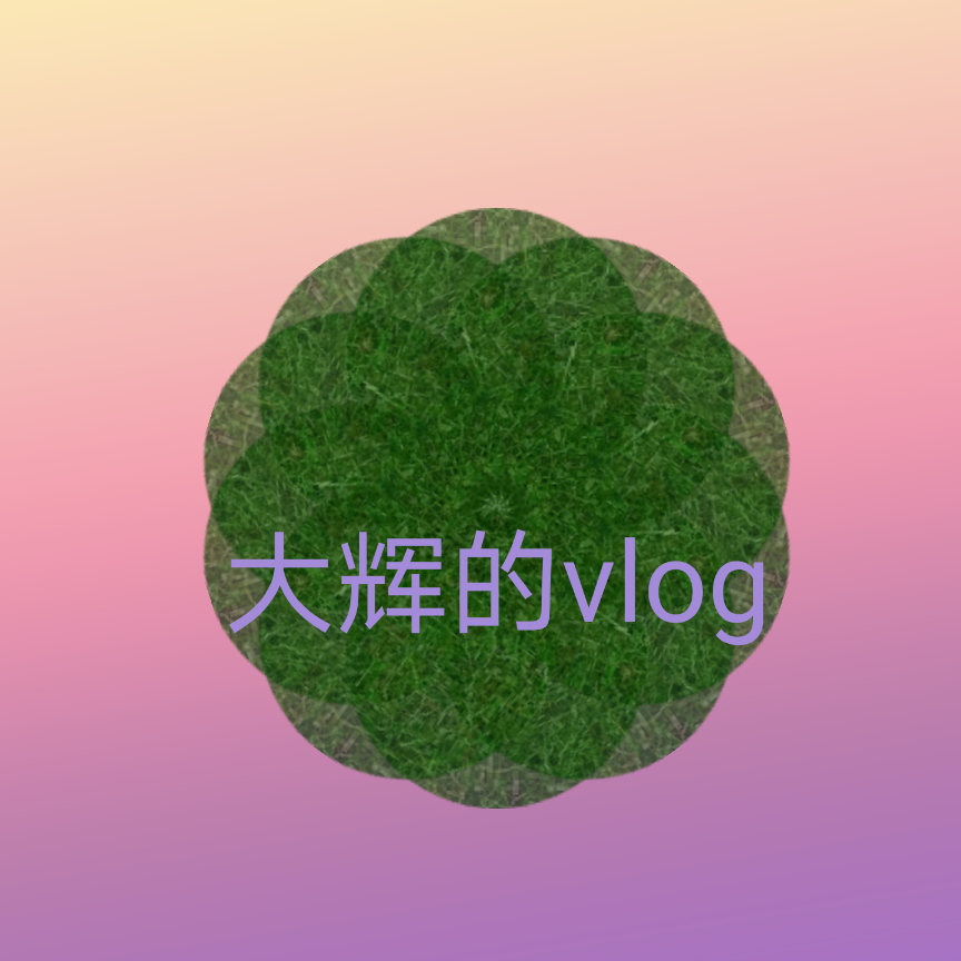 大辉的VLOG干货 