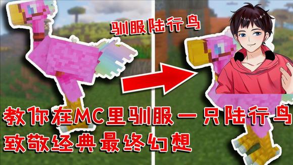 我的世界模组五十:教你在MC里驯服一只陆行鸟!居然可以飞行!