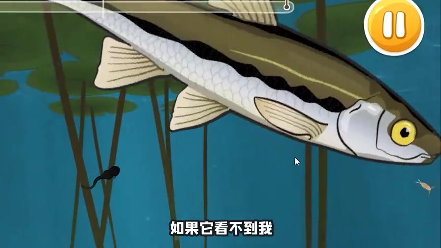 进化模拟器 我从蝌蚪进化到一半,被池塘里的水蟑螂吃了 小熙解说