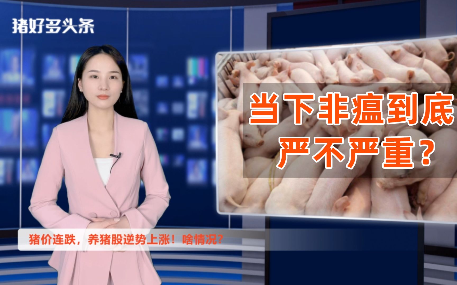 猪价跌破15元/公斤,养猪股却逆势上涨!猪病发生形势严峻?
