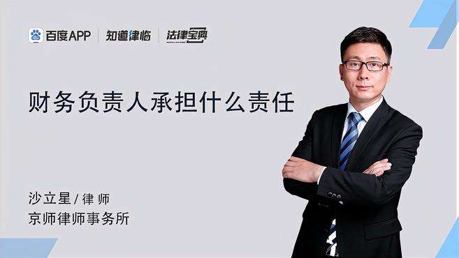 财务负责人承担什么责任