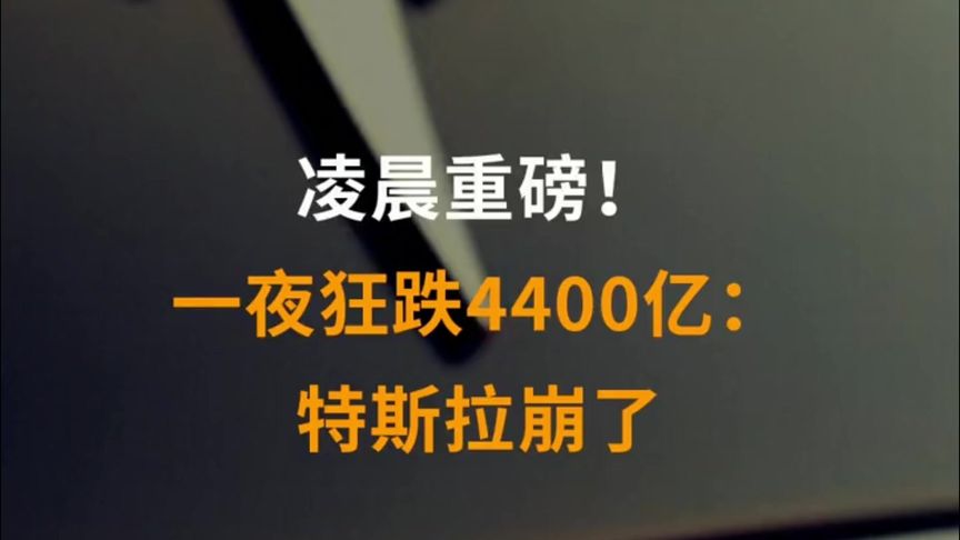 世上应该没有我这么狠的资本了吧#特斯拉 #美股#裁员 #电动车