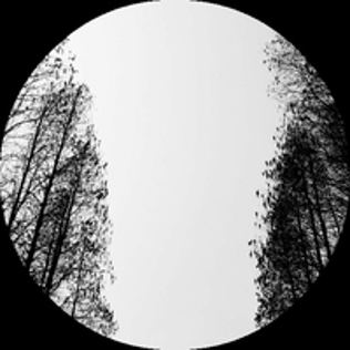 给我一颗糖好不好